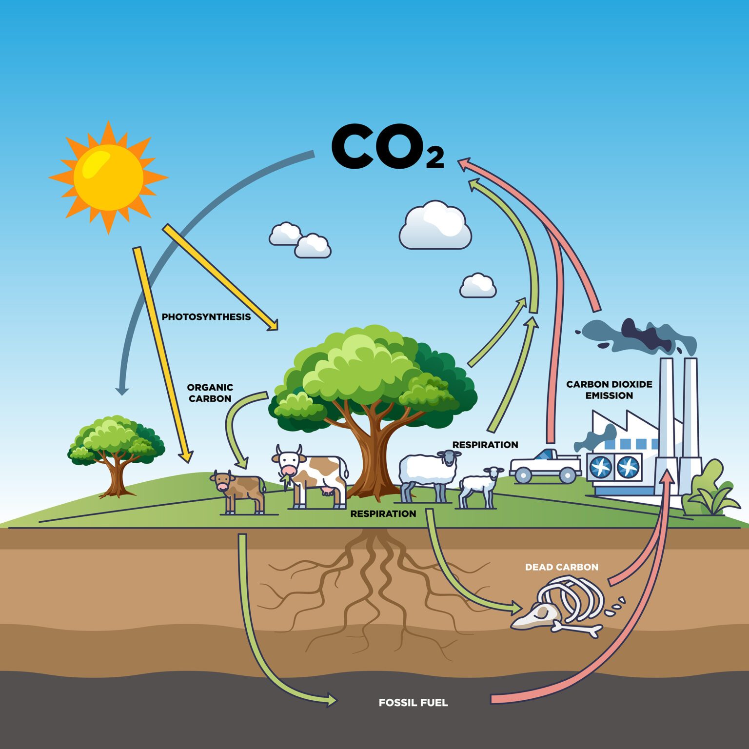 Carbon-Neutral Cycle: discover Biorigin's sustainable initiative - Biorigin