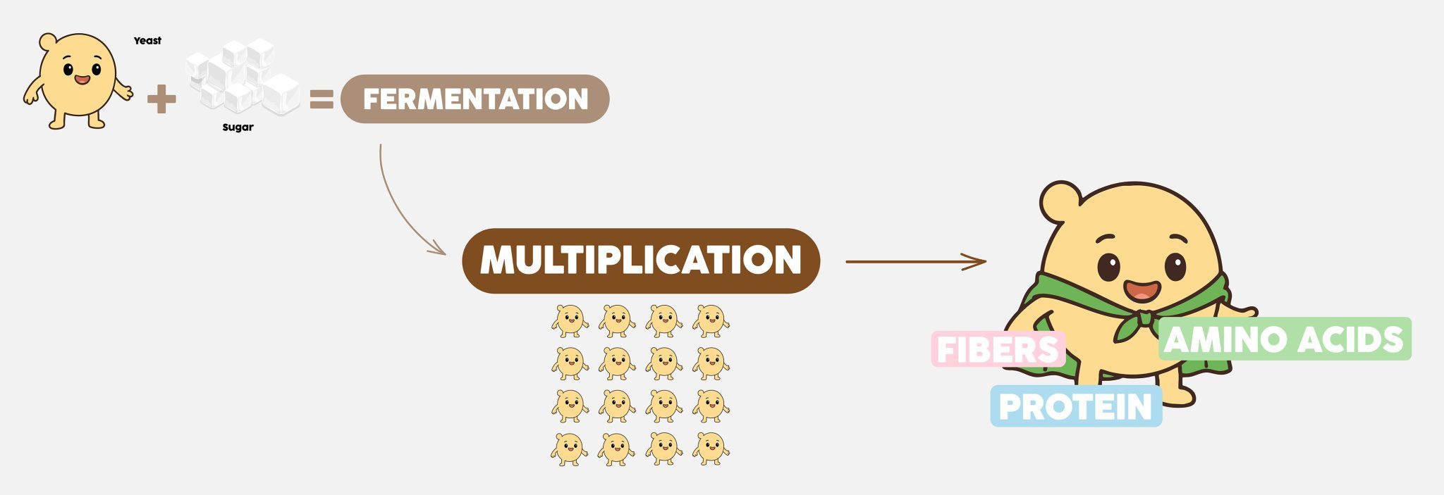 Yeast: Understand the Production Process and the Benefits of This ...